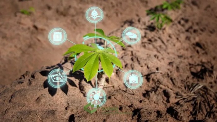 The Impact of Cloud Computing on Agriculture Revolutionizing Farming ...